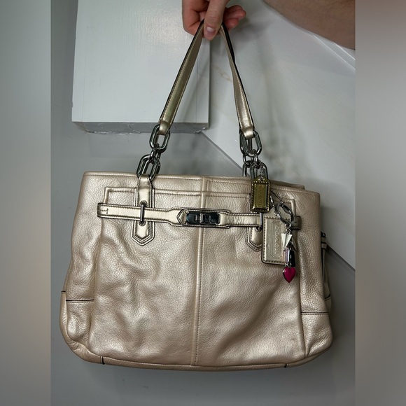 Coach | Bags | Coach Womens Chelsea Jayden Platinum Metallic Carryall ...